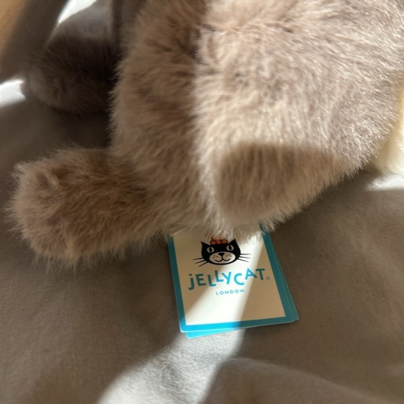 Jellycat | Toys | Authentic New With Tag Jellycat Messenger Bunny ...